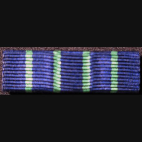 USA : Rappel de la médaille Distinguished Marksman & Pistol Shot medal