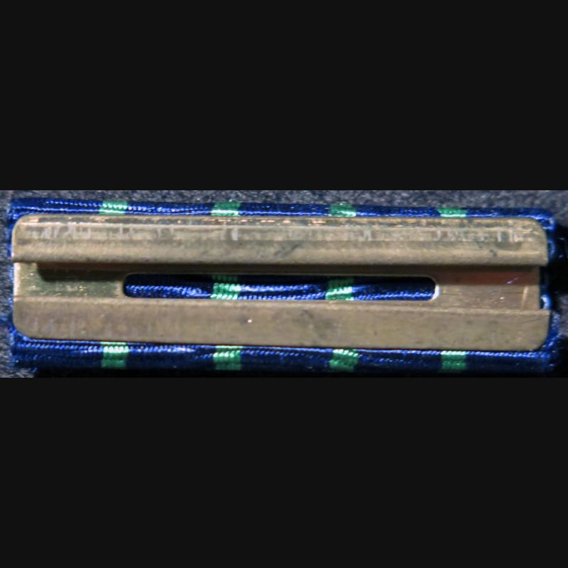 USA : Rappel de la médaille Distinguished Marksman & Pistol Shot medal