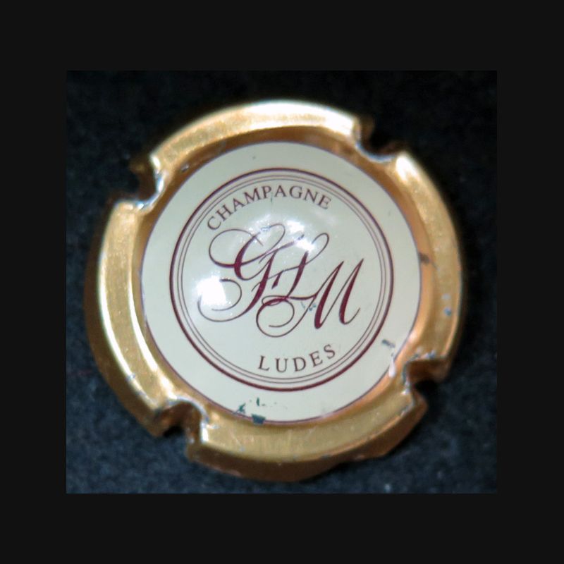 Capsule Muselet de bouteille de champagne GAIDOZ-FORGET n° 2 Contour Or