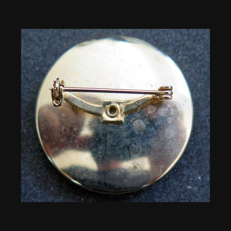 USA : broche "Vote"