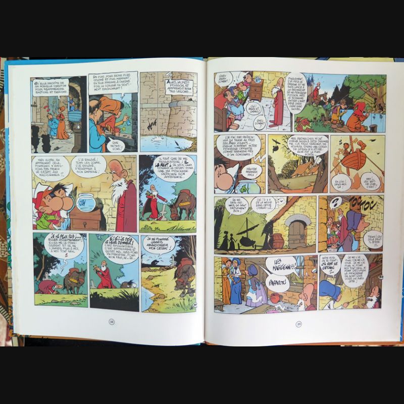 Bande dessinée LES AVENTURES DE GULLY Le poisson bleu Dupuis 1987