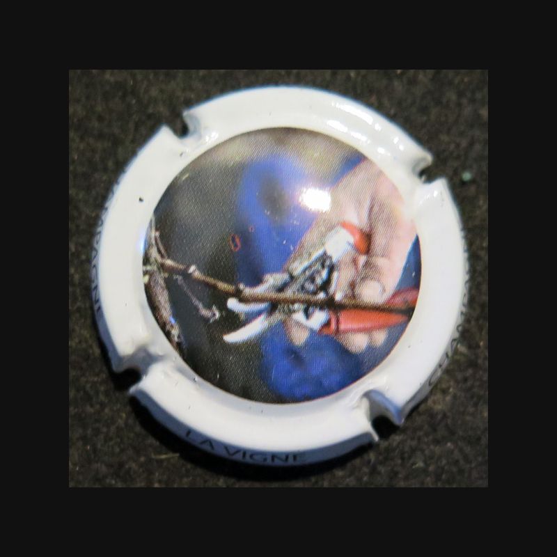 Capsule Muselet de bouteille de champagne CO.GE.VI n° 20 la taille