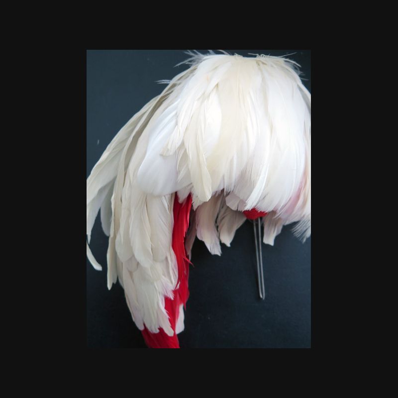 Plumet de shako de Saint Cyrien