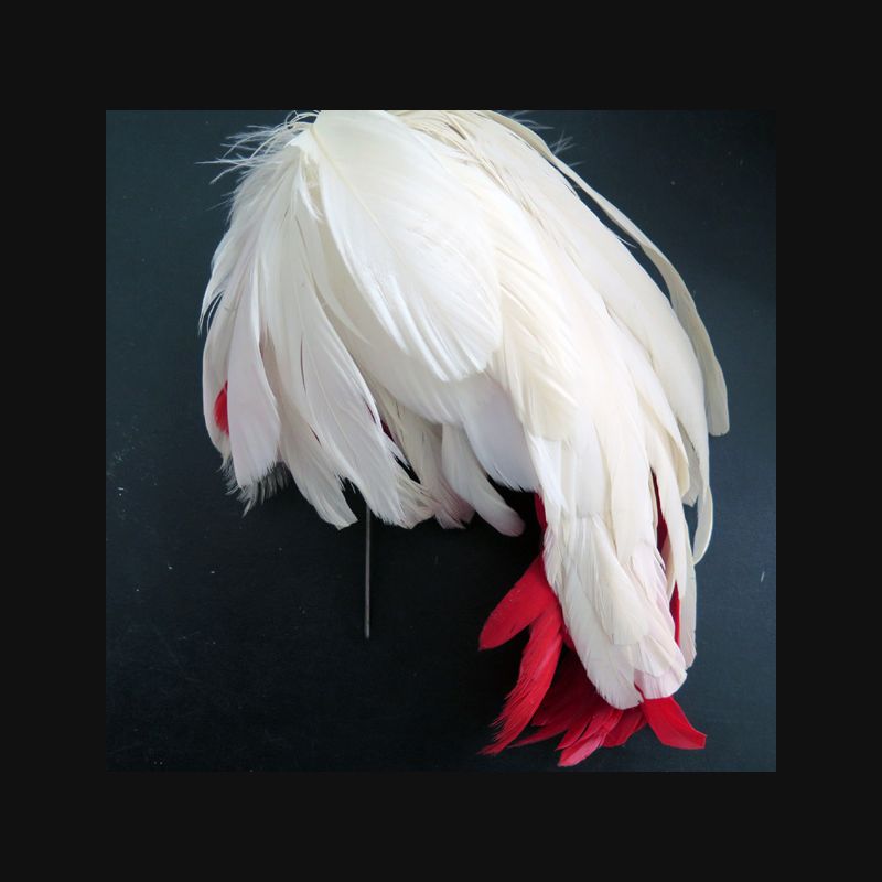 Plumet de shako de Saint Cyrien