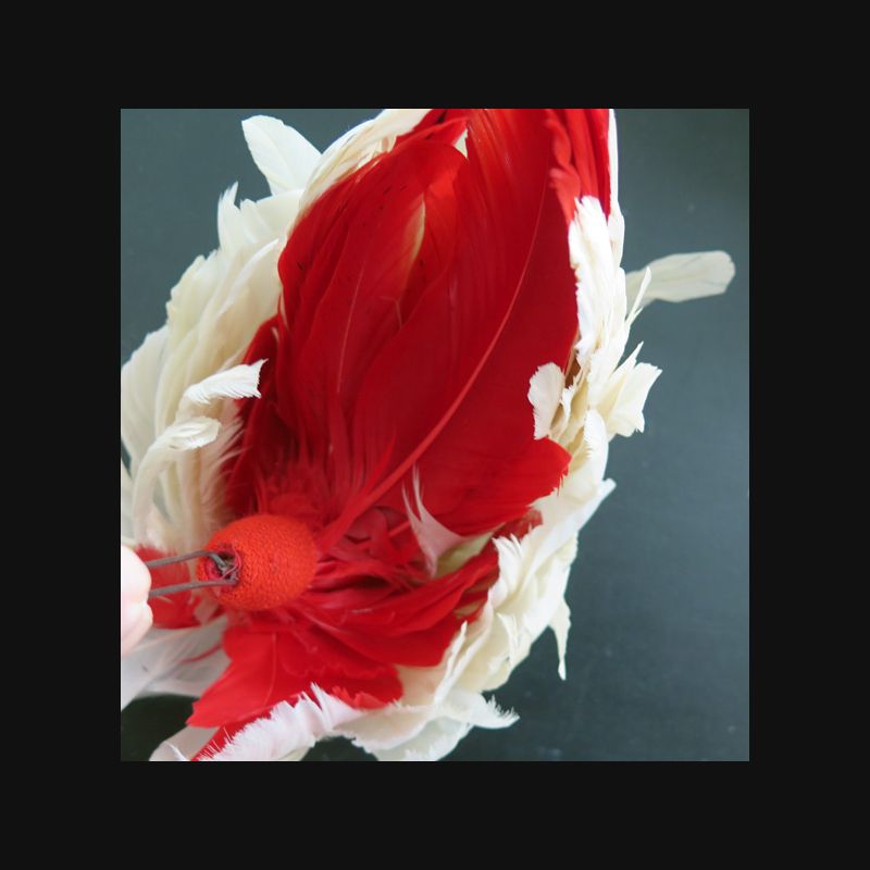 Plumet de shako de Saint Cyrien