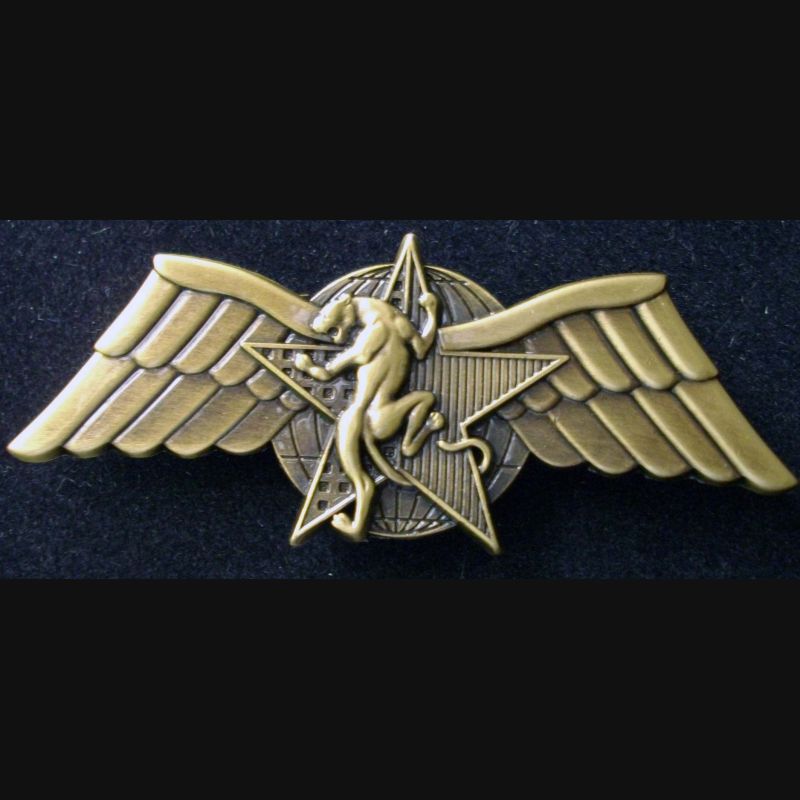 Brevet moniteur de combat de choc Béraudy et Vaure GS 148 en bronze