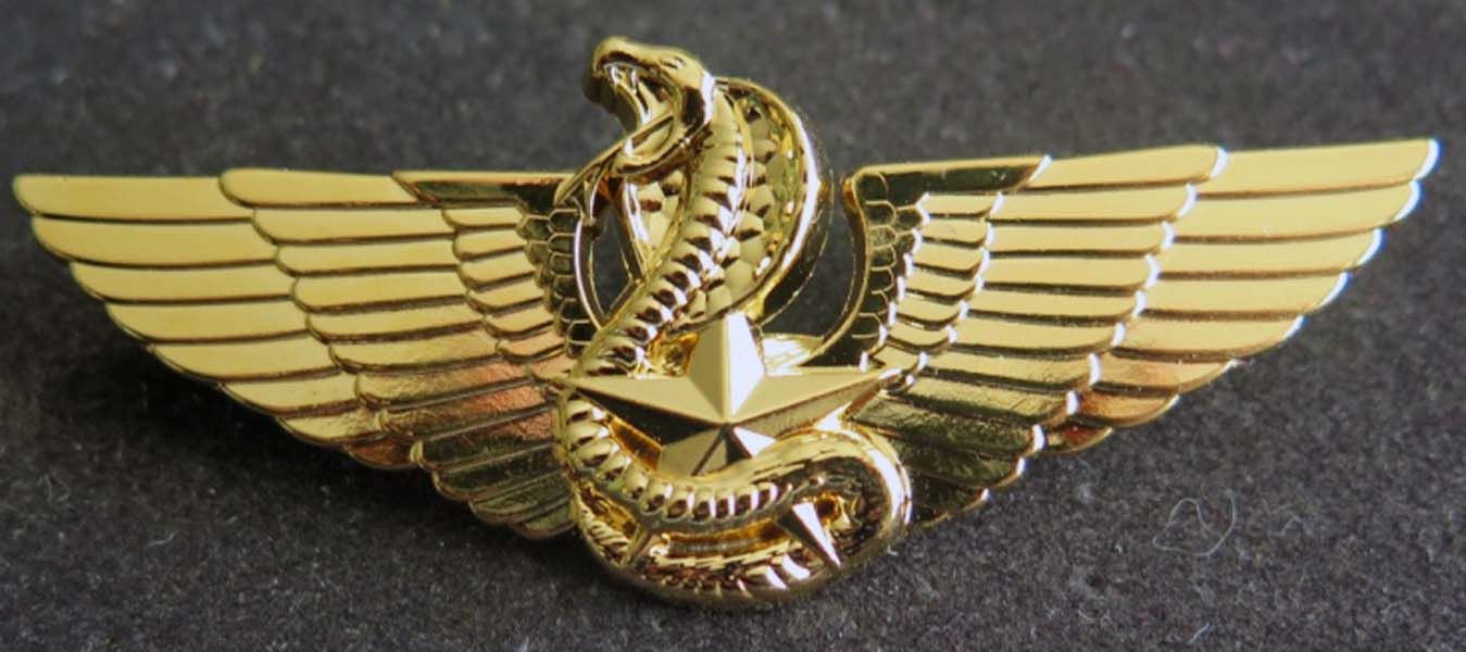 Les opérationnels du Service action de la DGSE peuvent cumuler jusqu’à ...