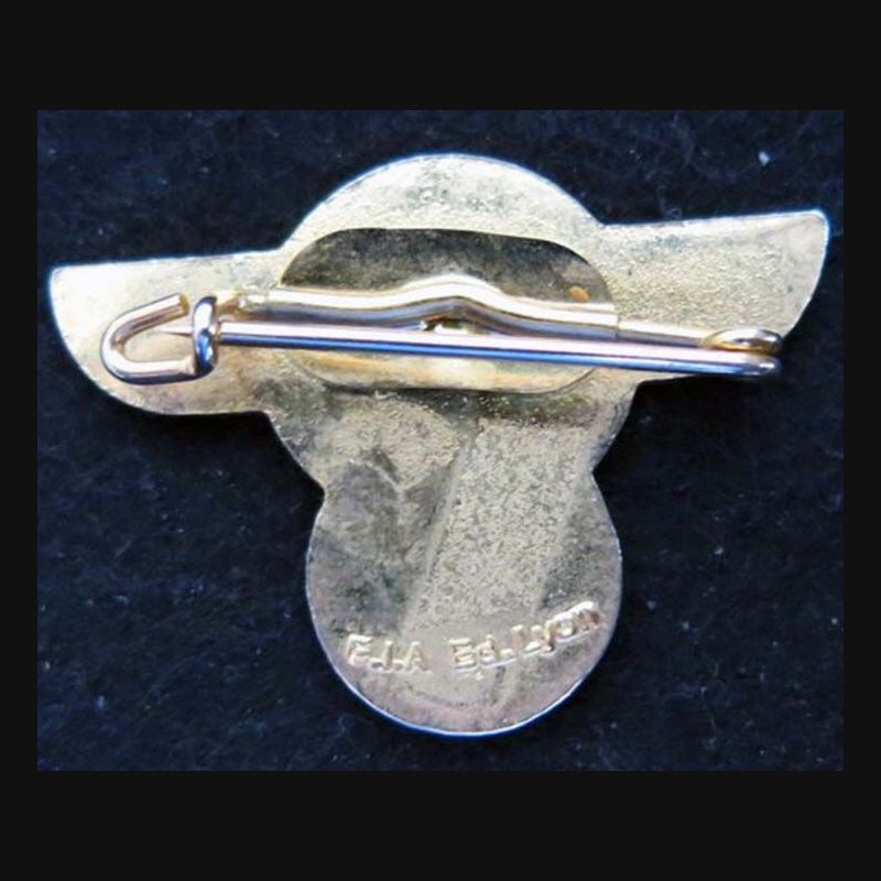 Escadron de bombardement 1- 93 Guyenne FIA Lyon émail lapin BR 129