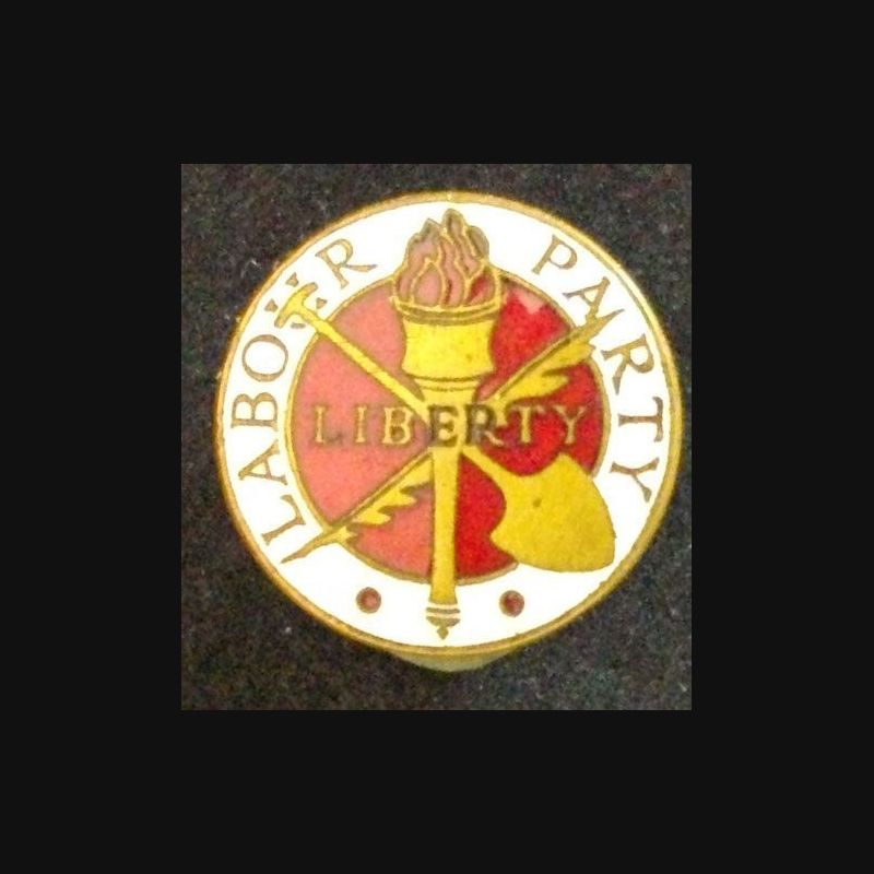 PIN'S DU LABOUR PARTY LIBERTY - Ma Collection Pas Chère
