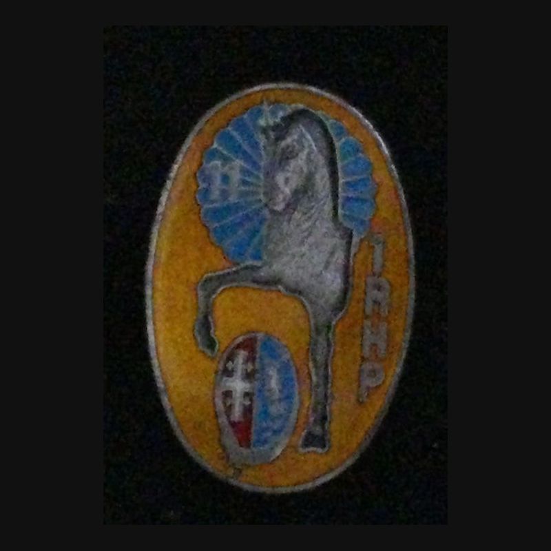 1°RHP : 1°RÉGIMENT DE HUSSARDS PARACHUTISTE 11°ESC OVALE ÉMAIL