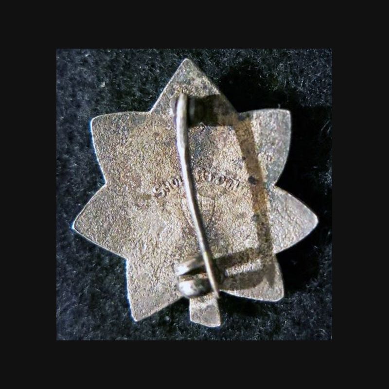 USA insigne de grade de lieutenant colonel LTC de l'US Army ou USMC